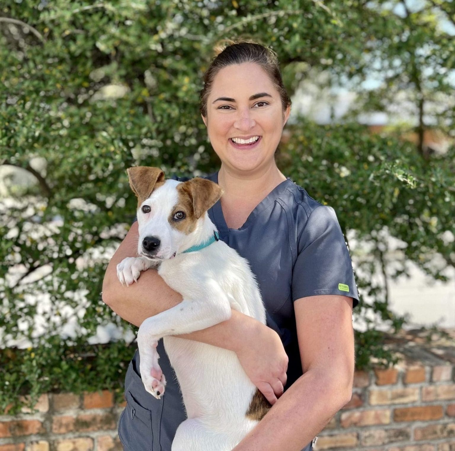 Meet the Dallas Team - ReadiVet