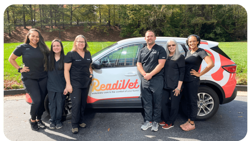 Meet the ReadiVet Team - ReadiVet