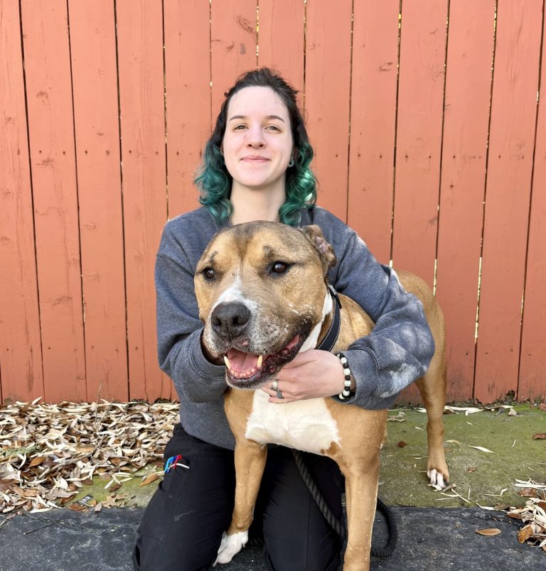 Meet the Dallas Team - ReadiVet