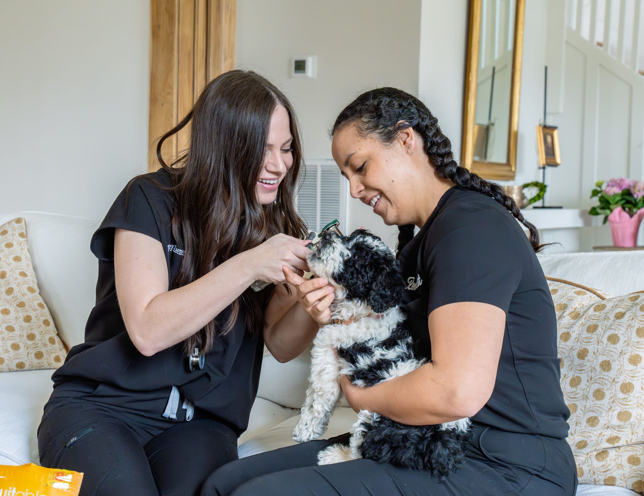 Veterinary Care for New Puppy Owners: A Complete Guide - ReadiVet